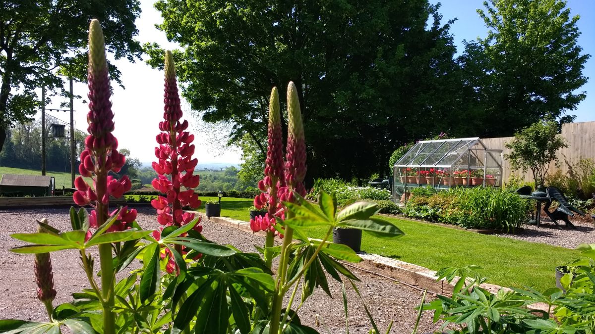 Brambles Bed and Breakfast | Tiverton | Devon | Places to Stay in ...